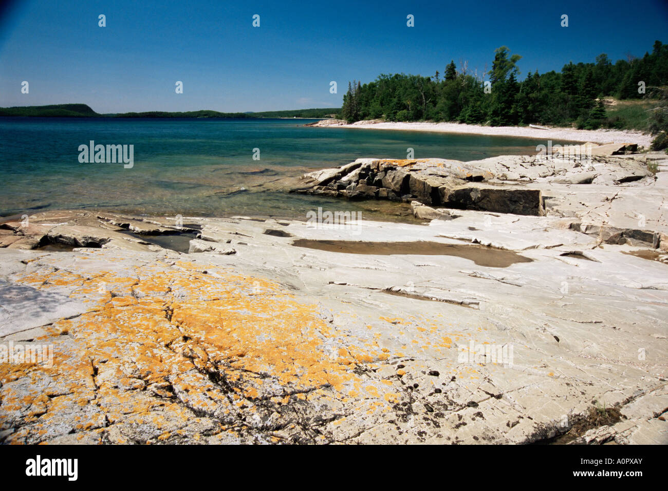 North shore of lake on rocky platform of forested Laurentian Shield ...