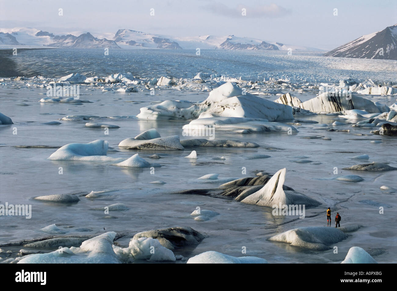 Icebergs frozen into lake ice in winter ice lake by ring road ...
