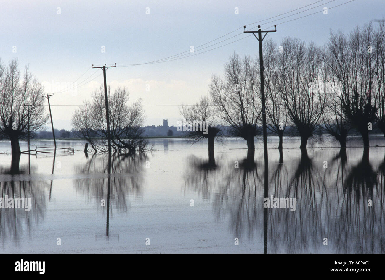 Flooding Somerset Levels Stock Photo - Alamy