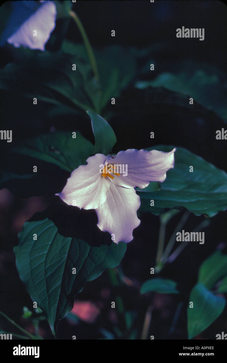 Bloomington indiana united states of america hi-res stock photography ...