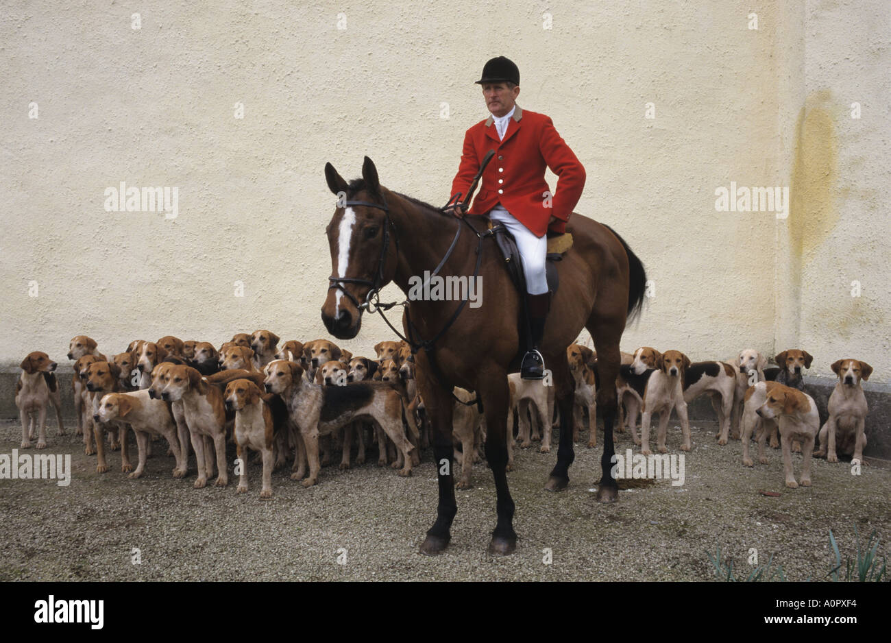 Huntsman horse hunter hi-res stock photography and images - Alamy
