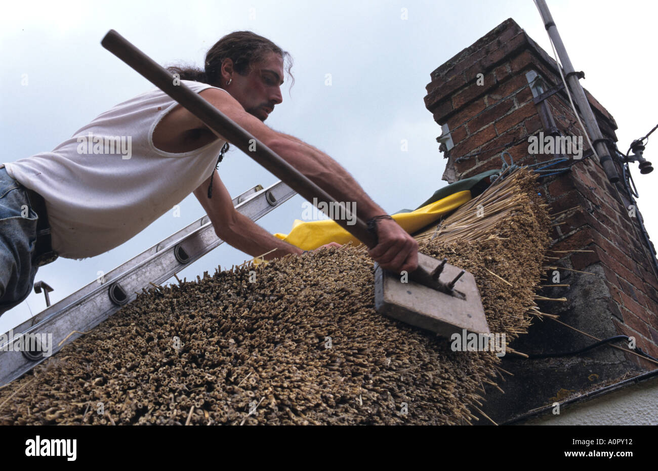 Thatcher at work Devon Stock Photo - Alamy