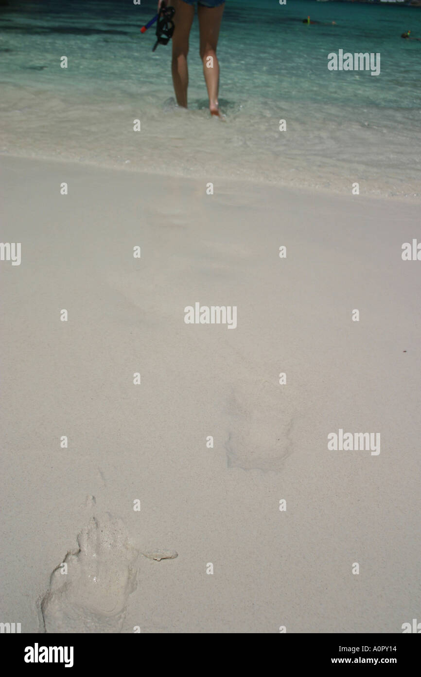 Walking into the Water Stock Photo - Alamy