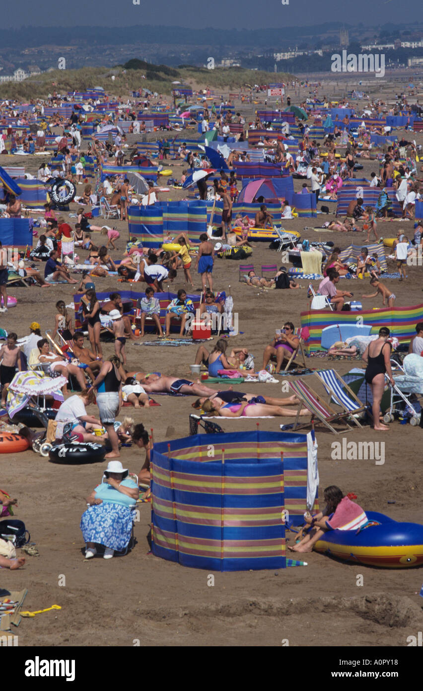 Crowded beach Dawlish South Devon Stock Photo - Alamy