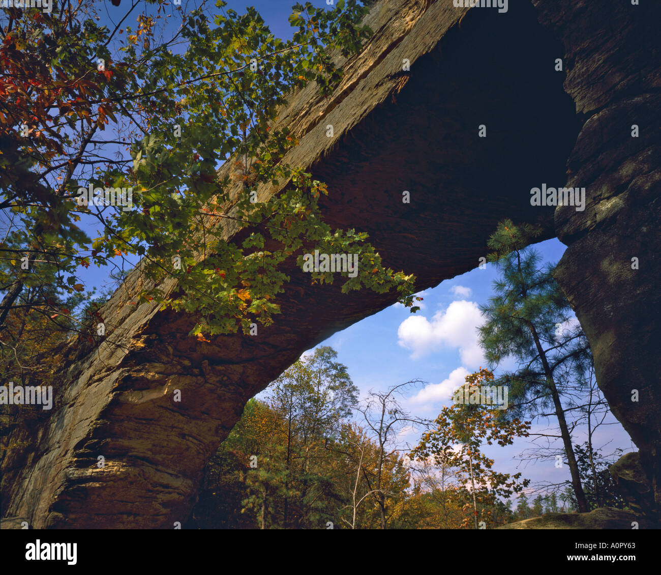 Natural Bridge at Natural Bridge State Park Kentucky Stock Photo - Alamy