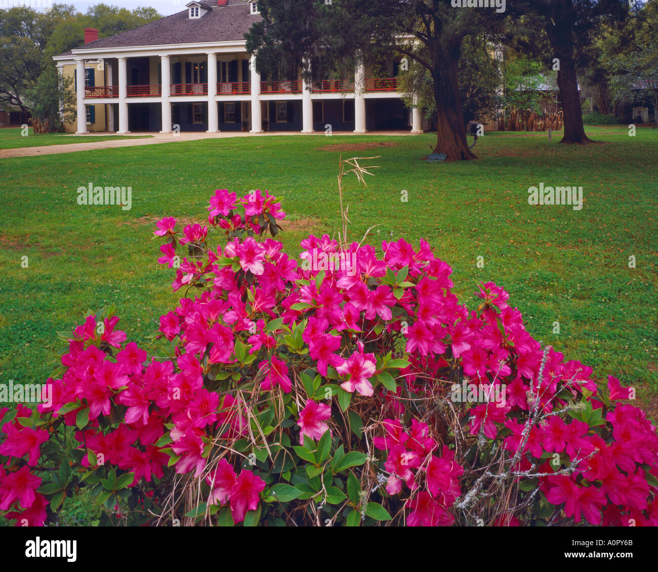 Destrehan hi-res stock photography and images - Alamy