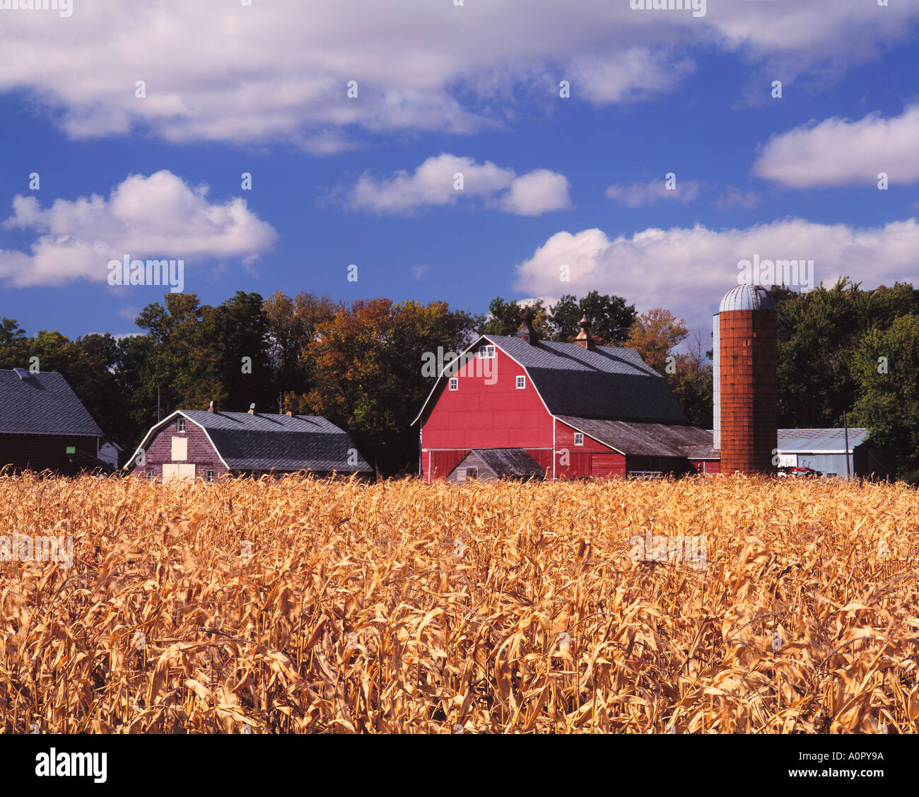 Kossuth county hi-res stock photography and images - Alamy