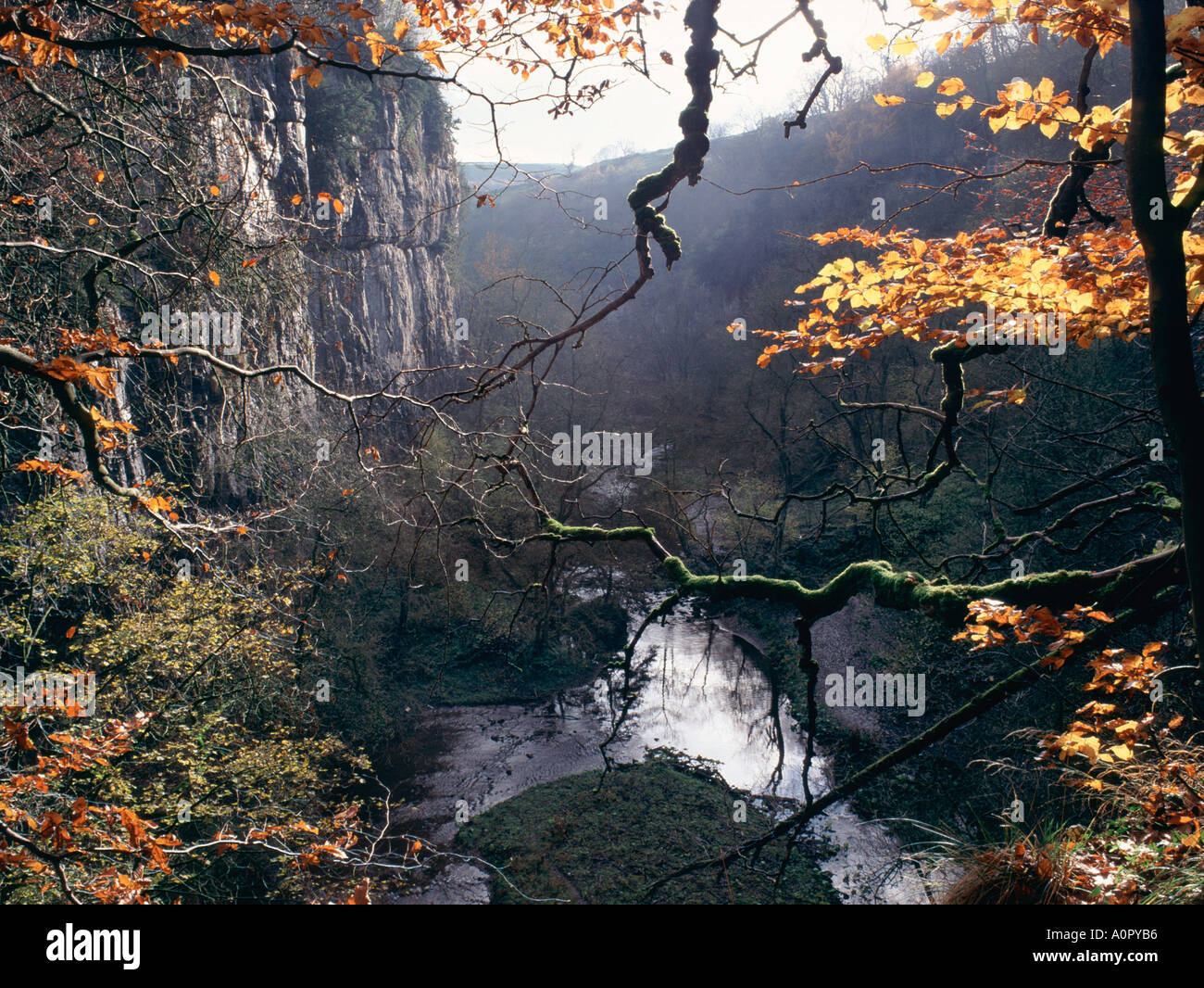 Autumn colours in Chee Dale, Peak District National Park, Derbyshire ...