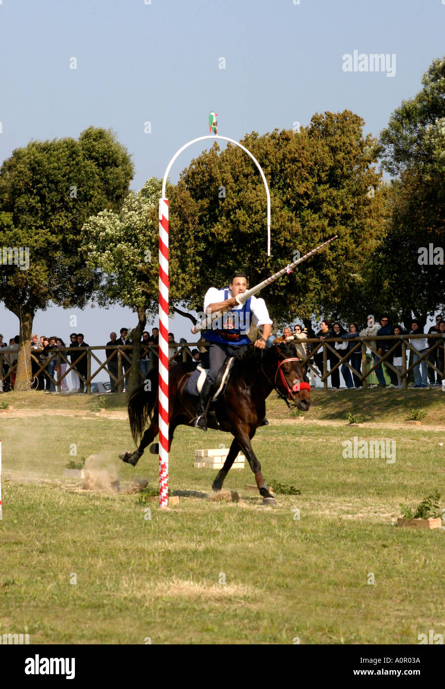 winner of the Jousting competition at traditional annual medieval ...