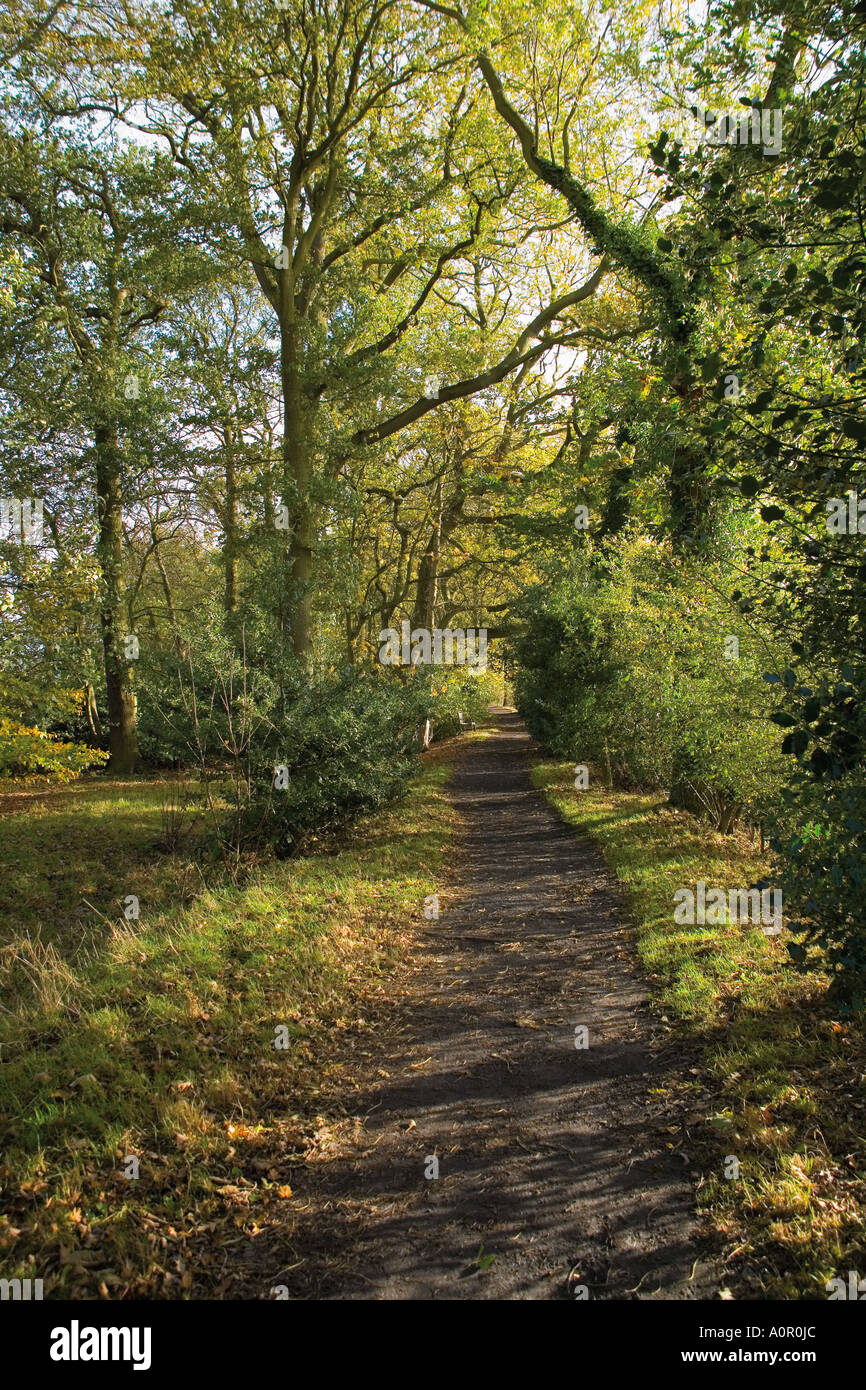the baddesley clinton estate baddesly clinton baddesley clinton house ...
