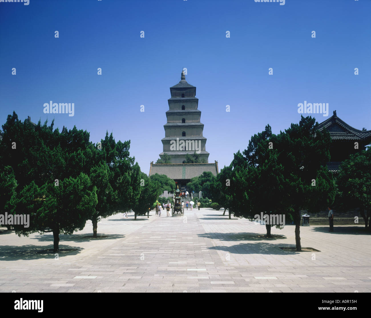 Dayanta hi-res stock photography and images - Alamy