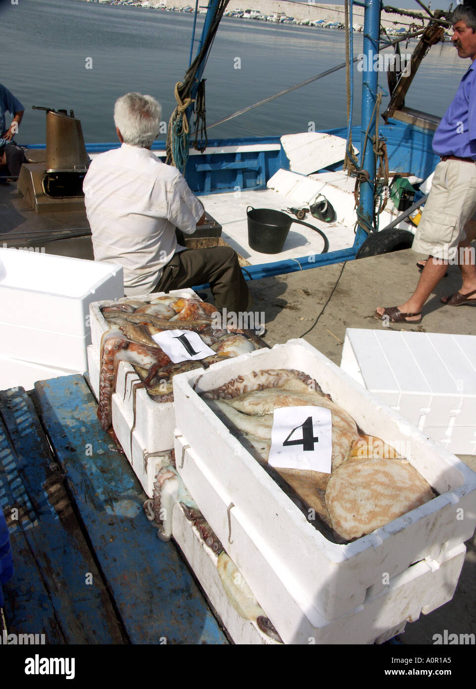 Fishermen sorting and boxing the catch hi-res stock photography and ...
