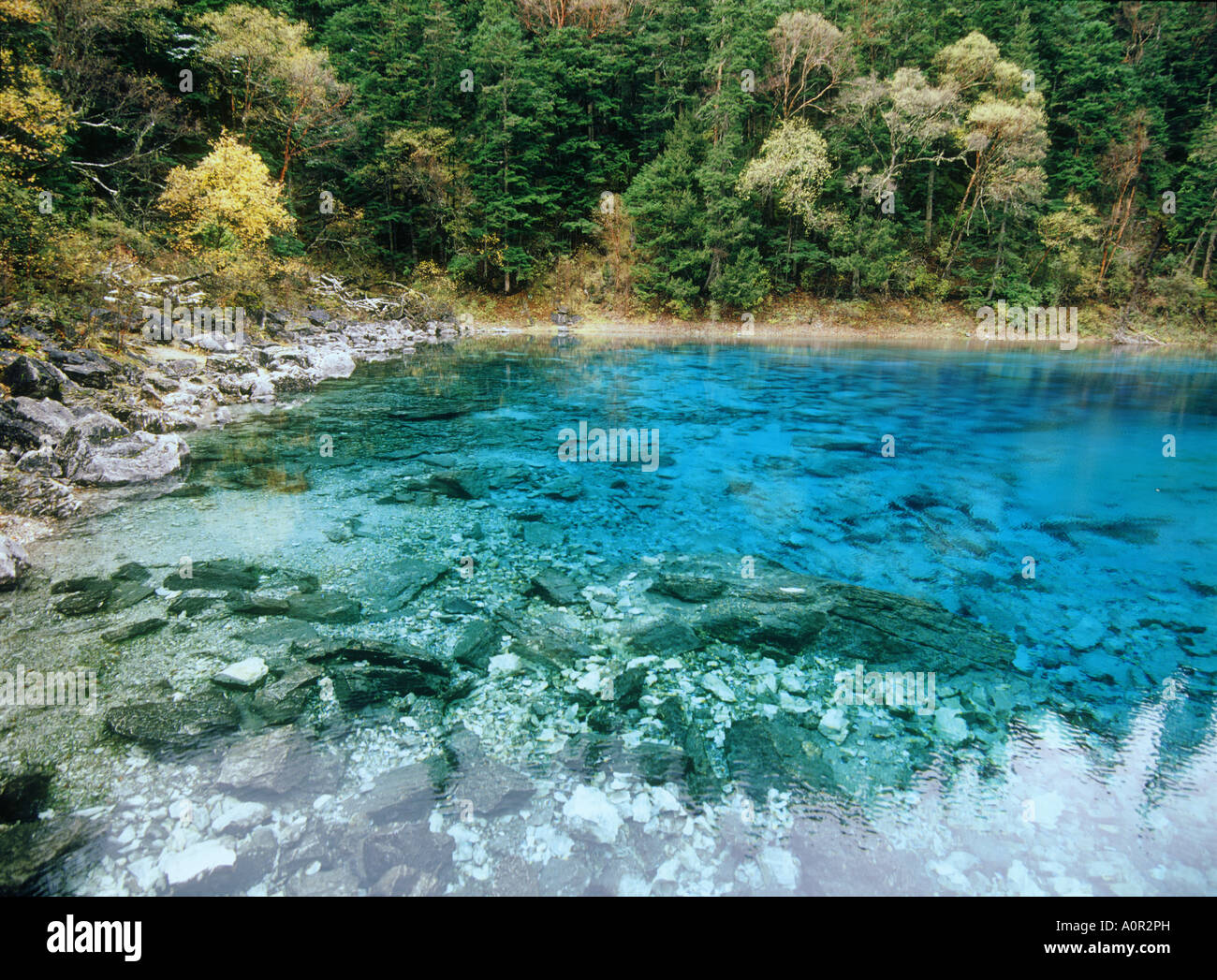 Five colored pool jiuzhaigou hi-res stock photography and images - Alamy