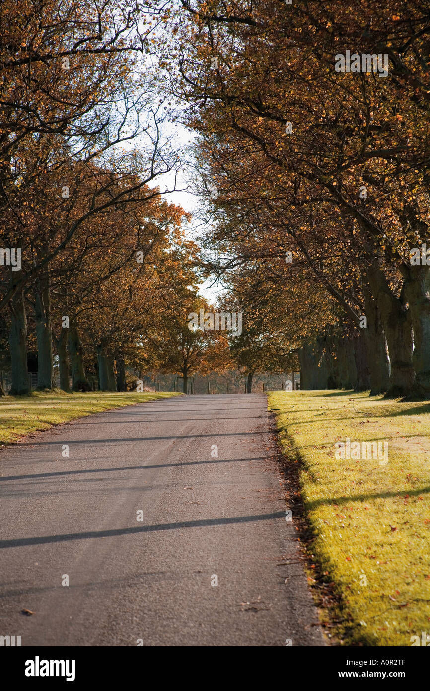 footpath footpaths heart of england way long distance footpath the ...