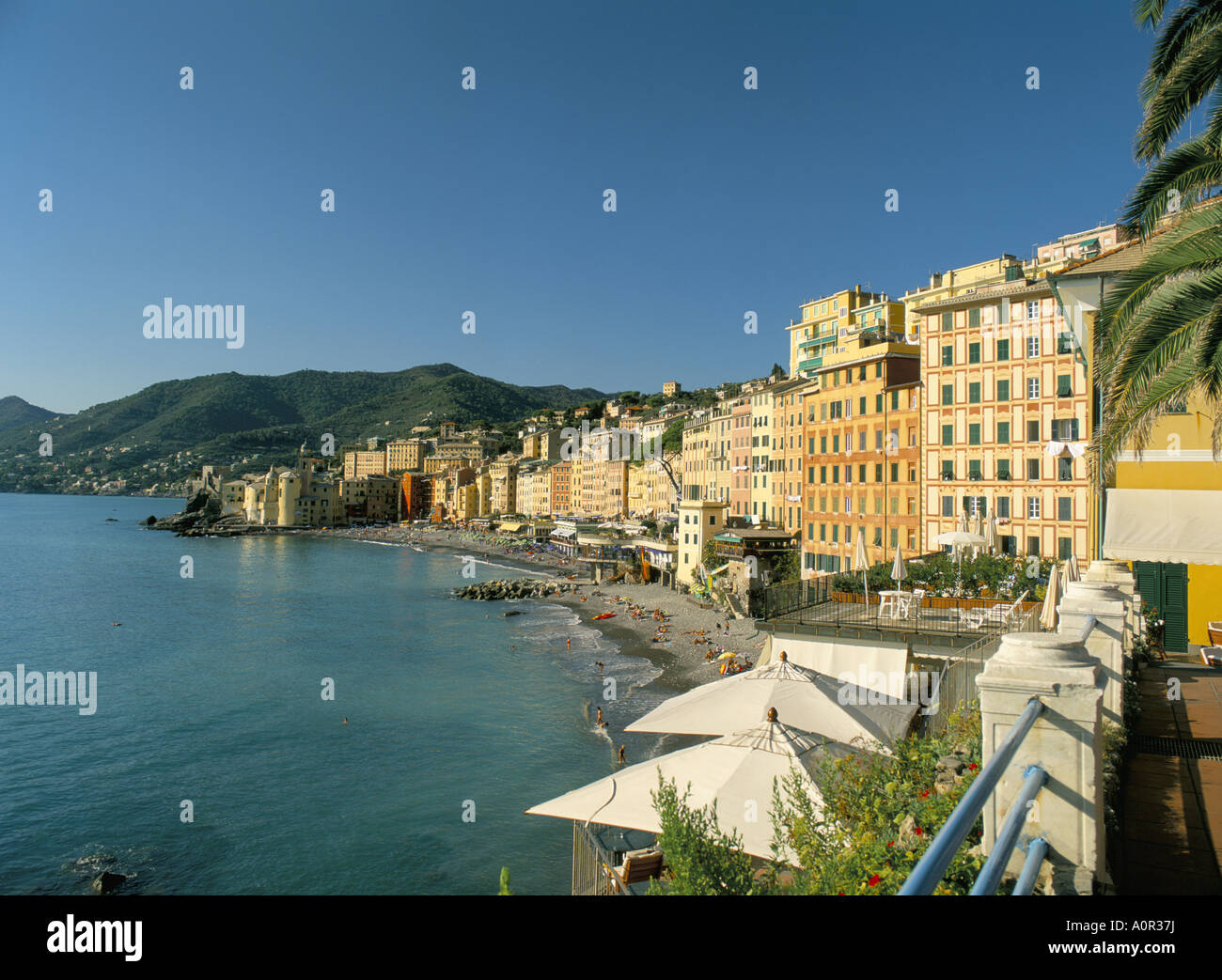 Colourful old buildings on the seafront Camogli Liguria Italian Riviera ...