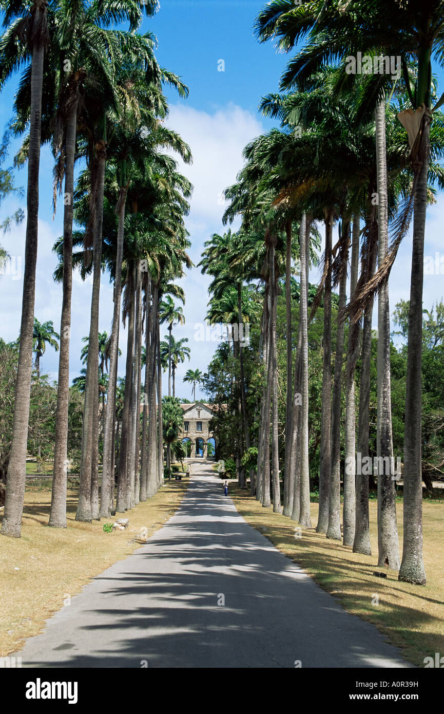 Barbados codrington college hi-res stock photography and images - Alamy