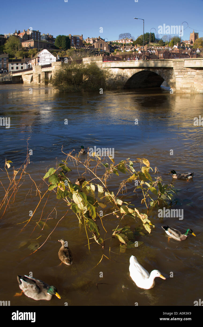 Bridgenorth Town With River High Resolution Stock Photography and ...