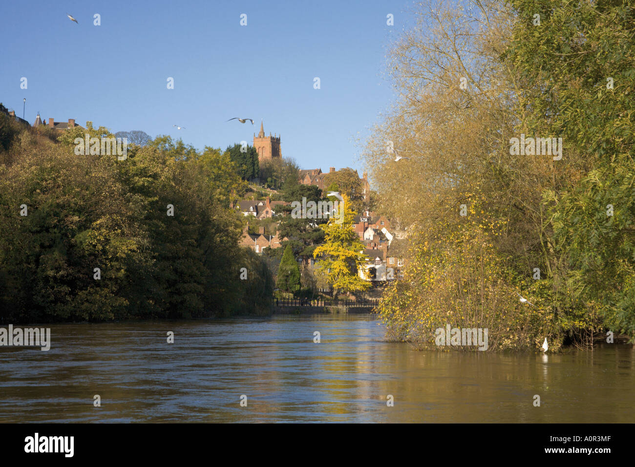 Bridgenorth Town With River High Resolution Stock Photography and ...