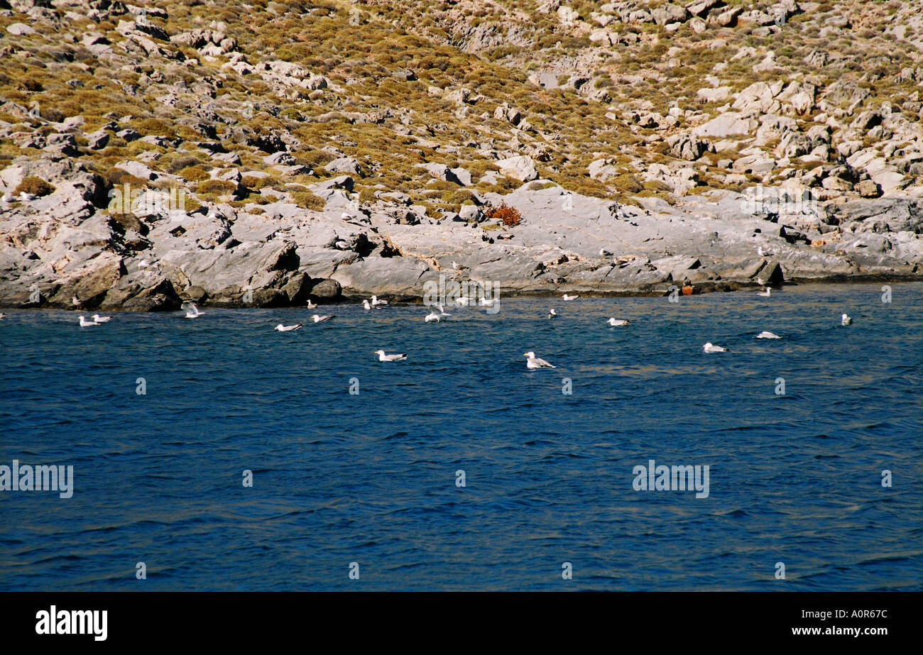 Dia Island, Crete Stock Photo - Alamy