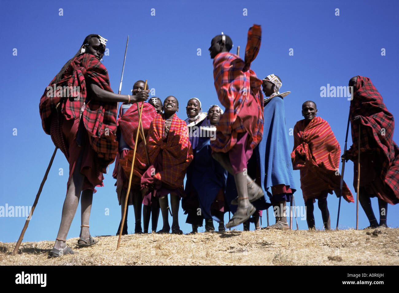 Masai warriors performing jumping dance Serengeti Park Tanzania East ...