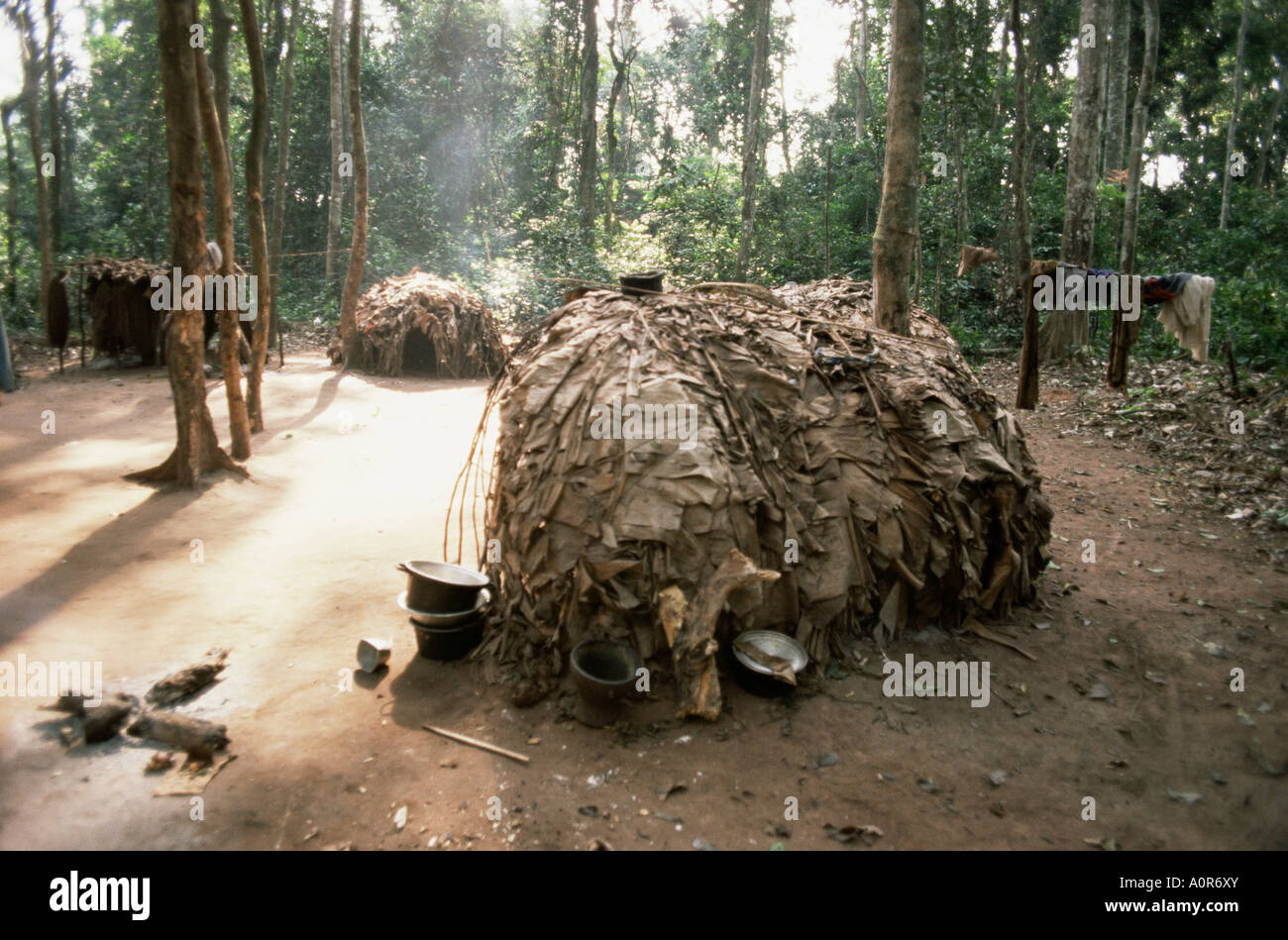 Pygmy batwa hi-res stock photography and images - Alamy