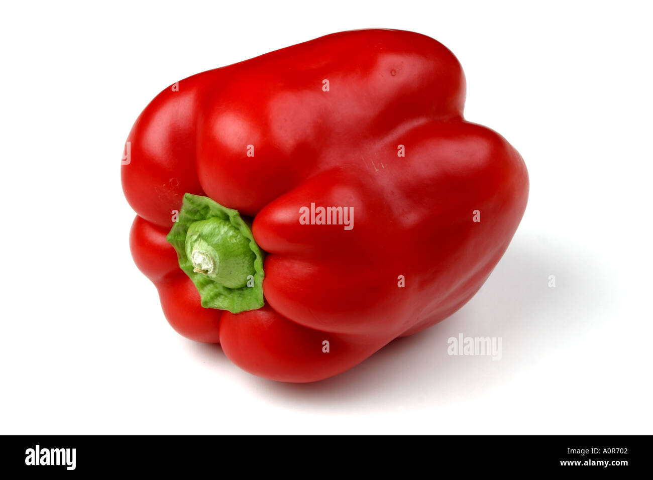 Red pepper still life on a white studio background Stock Photo - Alamy