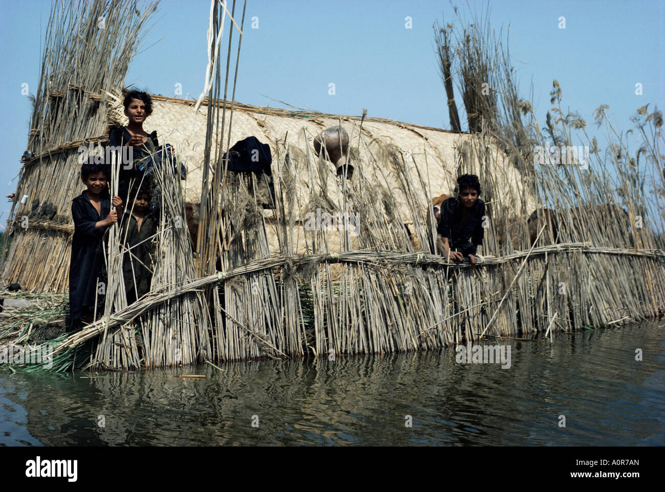 Marsh Arabs near Qurna Iraq Middle East Stock Photo - Alamy