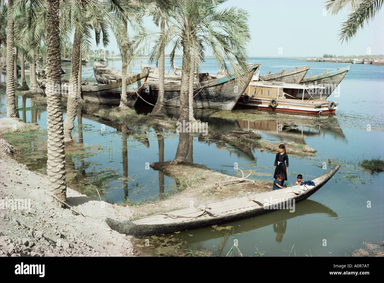 River tigris hi-res stock photography and images - Alamy