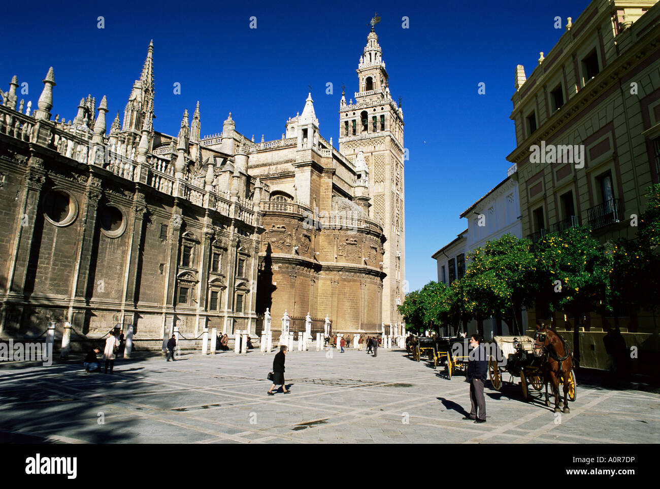 The cathedral Seville Andalucia Spain Europe Stock Photo - Alamy