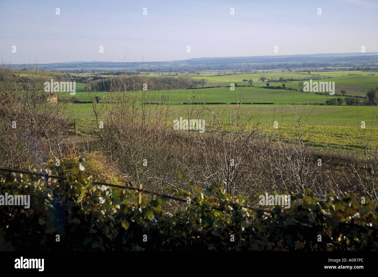 Snitterfield warwickshire hi-res stock photography and images - Alamy