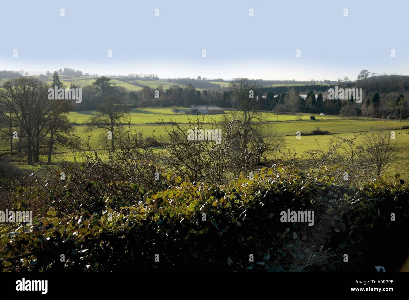 Snitterfield shakespeare hi-res stock photography and images - Alamy