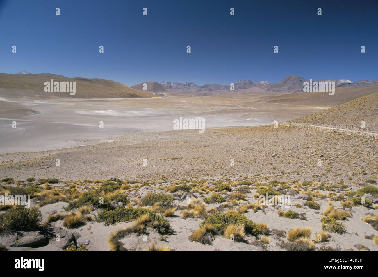 Altiplano and high level volcanoes El Tatio basin above Calama Atacama ...