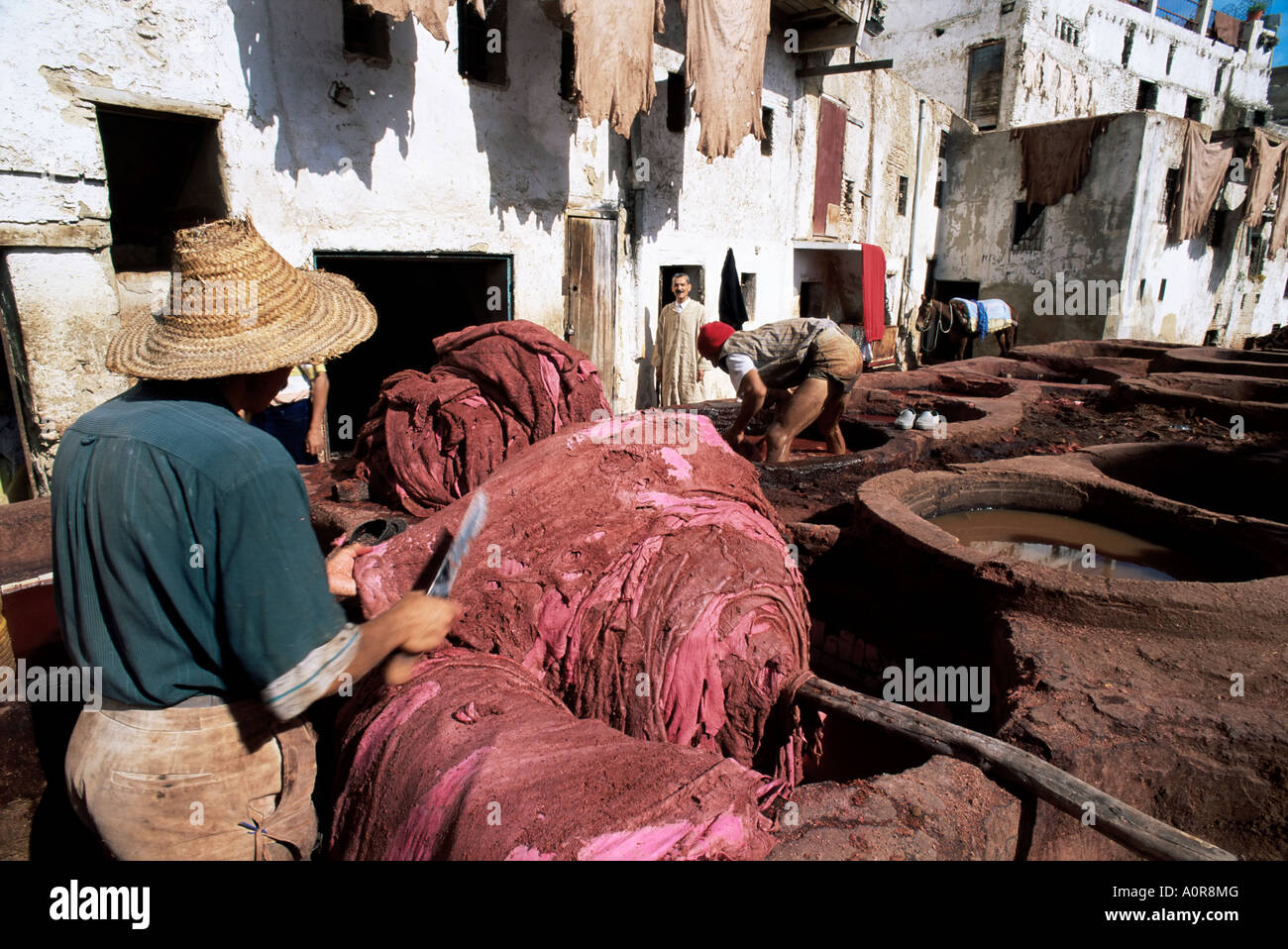 Fes el bali dyeing vats hi-res stock photography and images - Alamy
