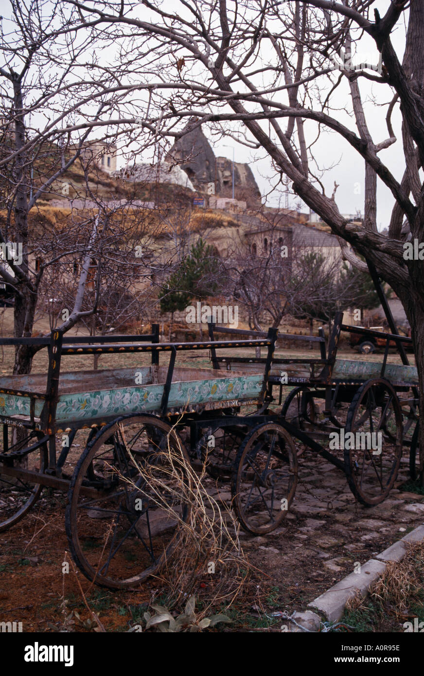 Turkey country farming hi-res stock photography and images - Alamy