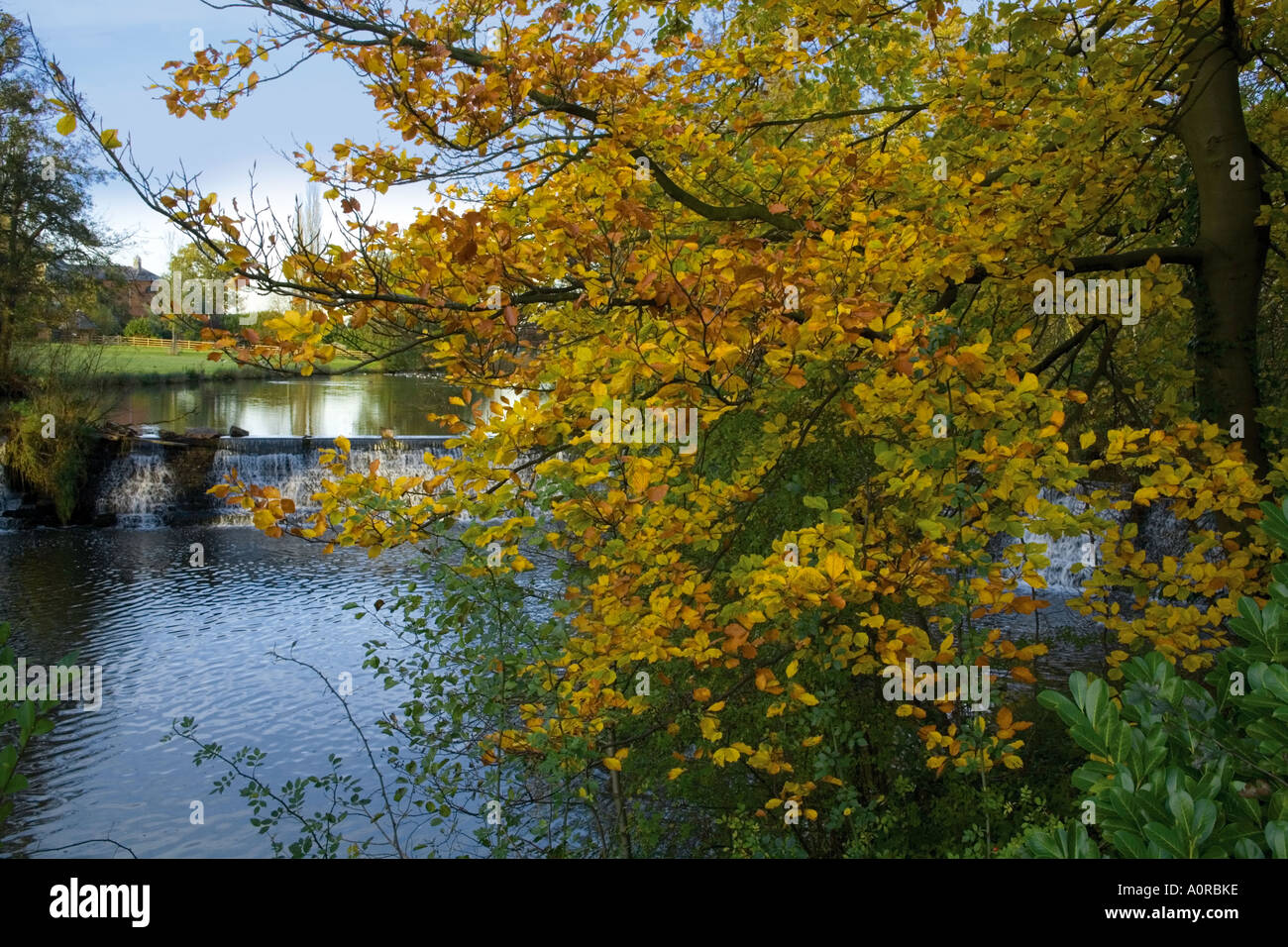 River alne grounds wootten hall hi-res stock photography and images - Alamy