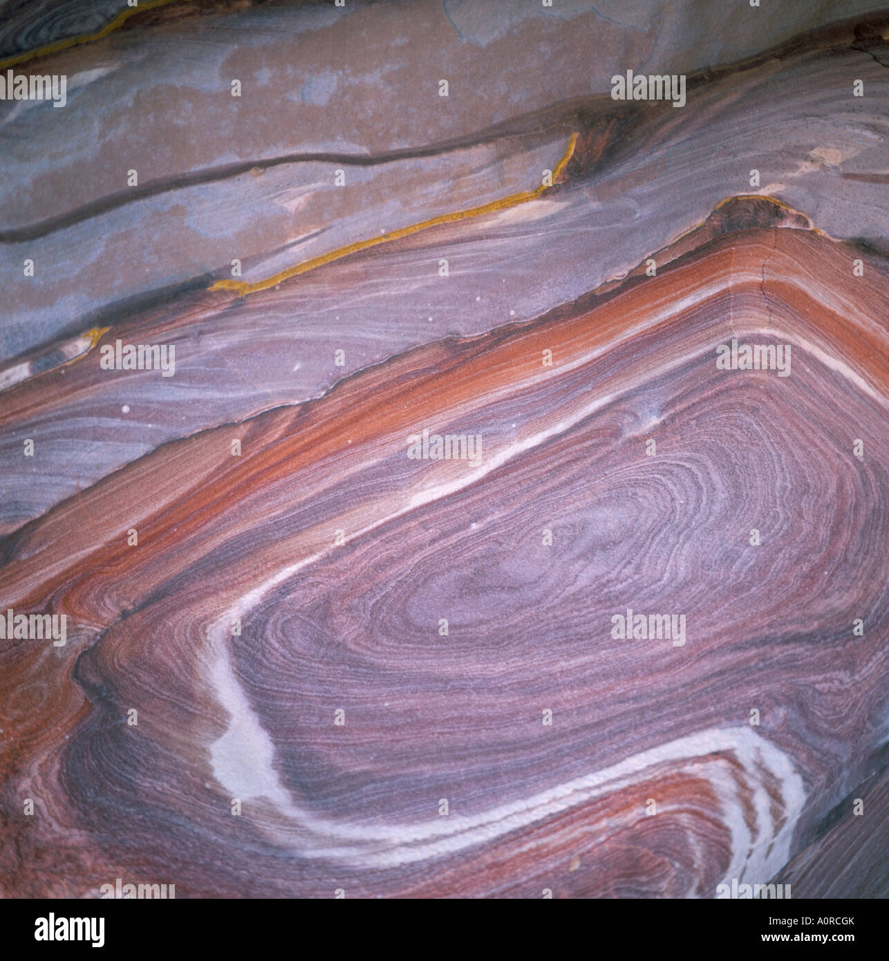 Close up of coloured sandstone from which the Nabateans carved their ...