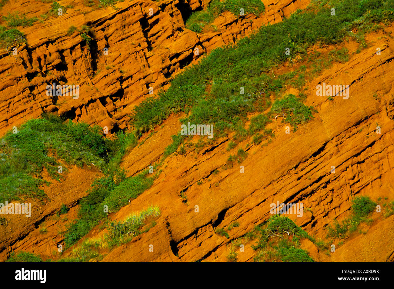 Detail of red cliff Dzhety Oguz near Kara Kol Kyrgyzstan Central Asia ...