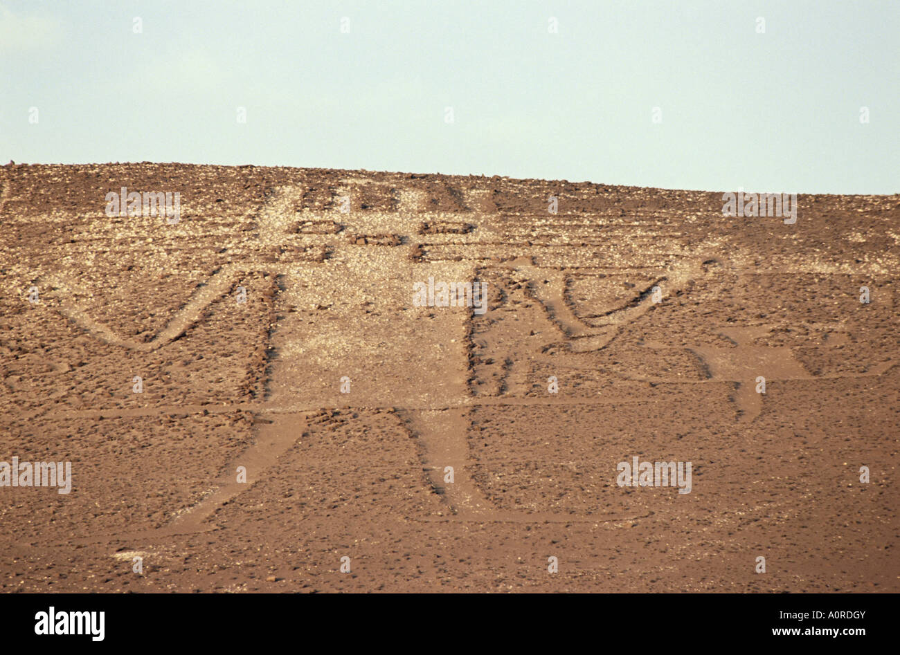 Giant of the Atacama petroglyph Chile South America Stock Photo - Alamy