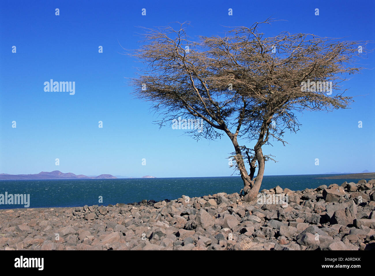 Lake Turkana Kenya East Africa Africa Stock Photo - Alamy