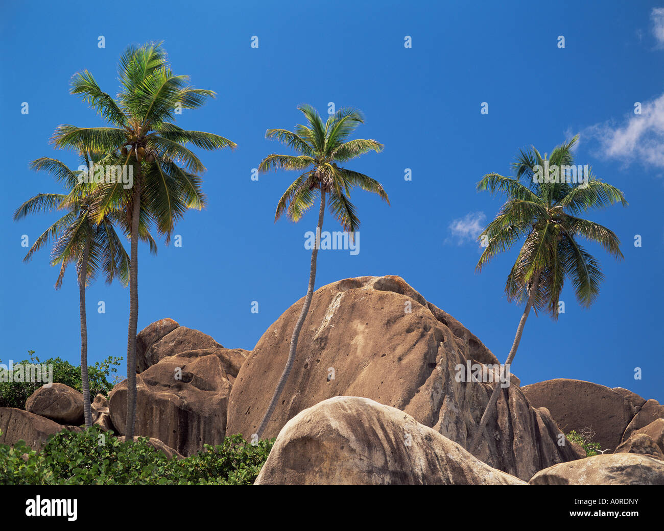 Boulders and palm trees The Baths Virgin Gorda British Virgin Islands ...