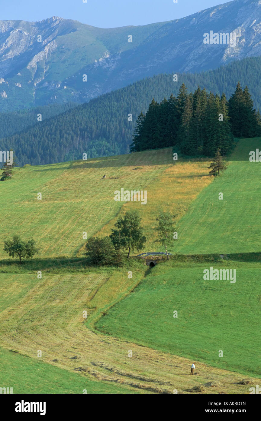 Farmland in the High Tatra Mountains near Zdiar and Polish border ...