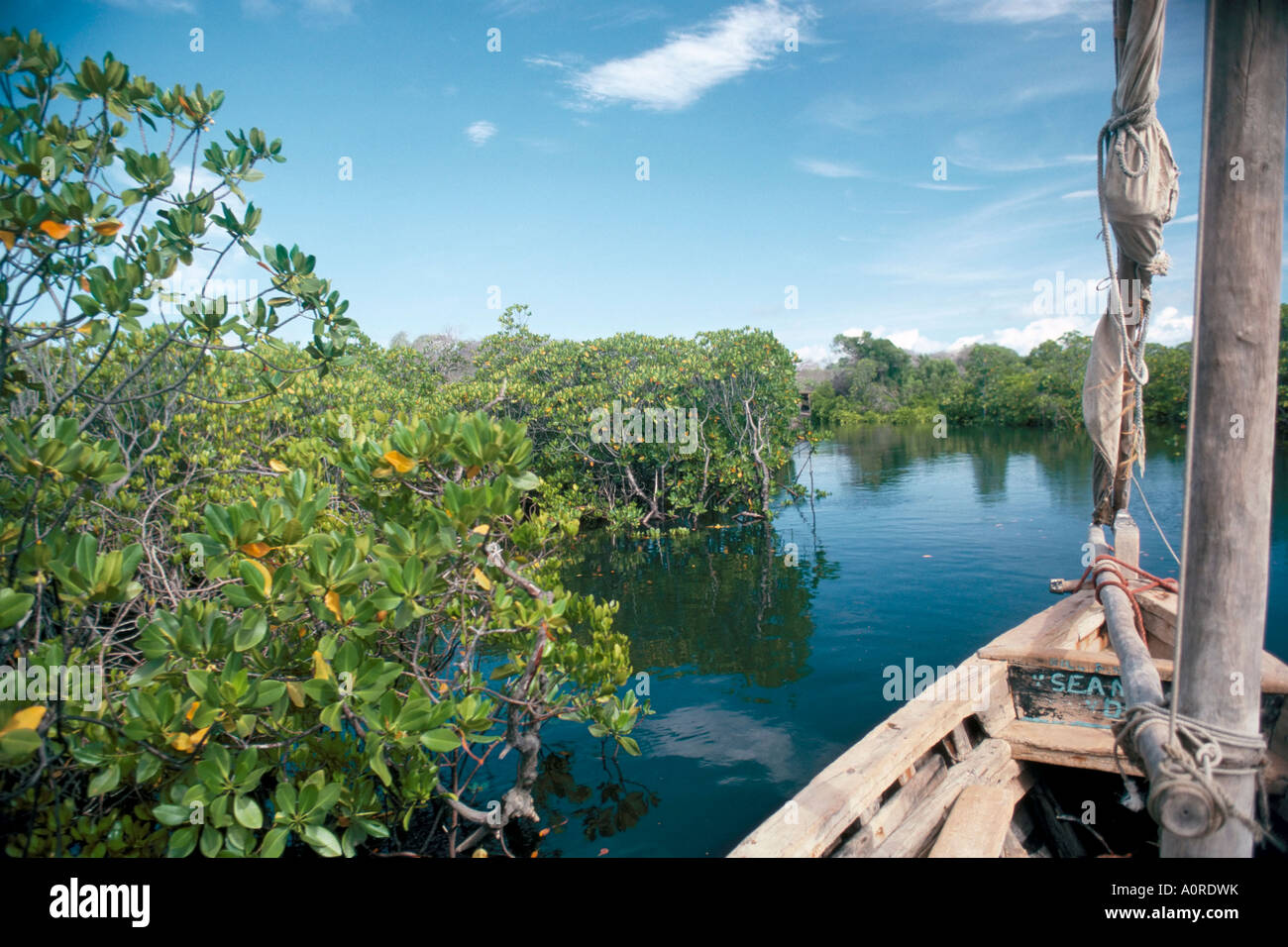 Lamu island mangrove hi-res stock photography and images - Alamy