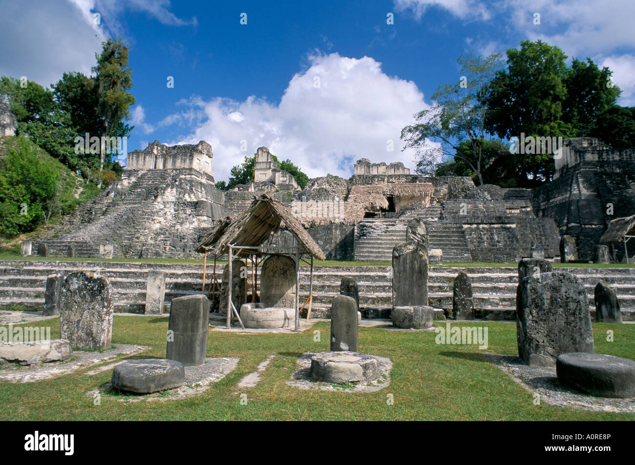 Tikal stela hi-res stock photography and images - Alamy