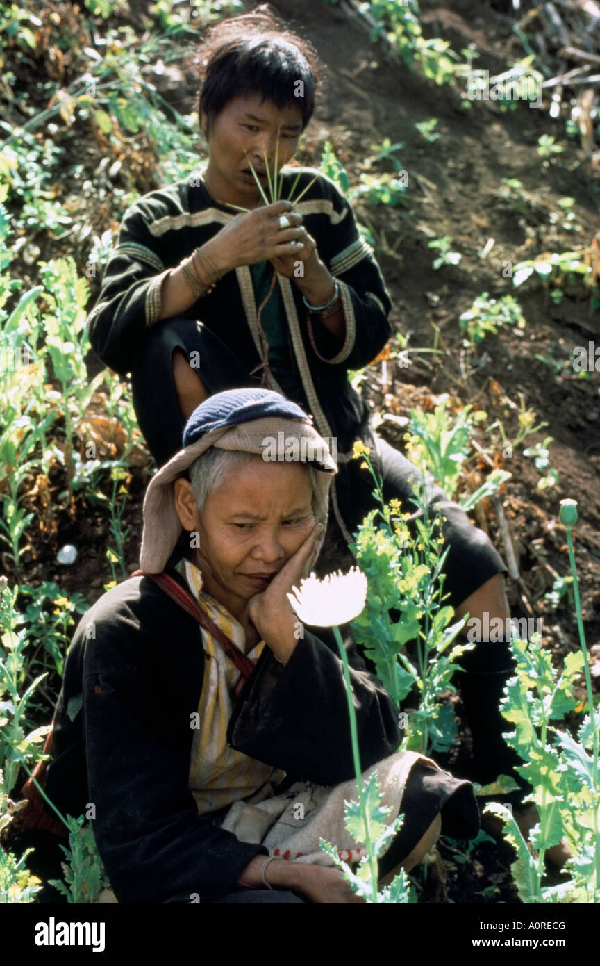 Opium addict hi-res stock photography and images - Alamy