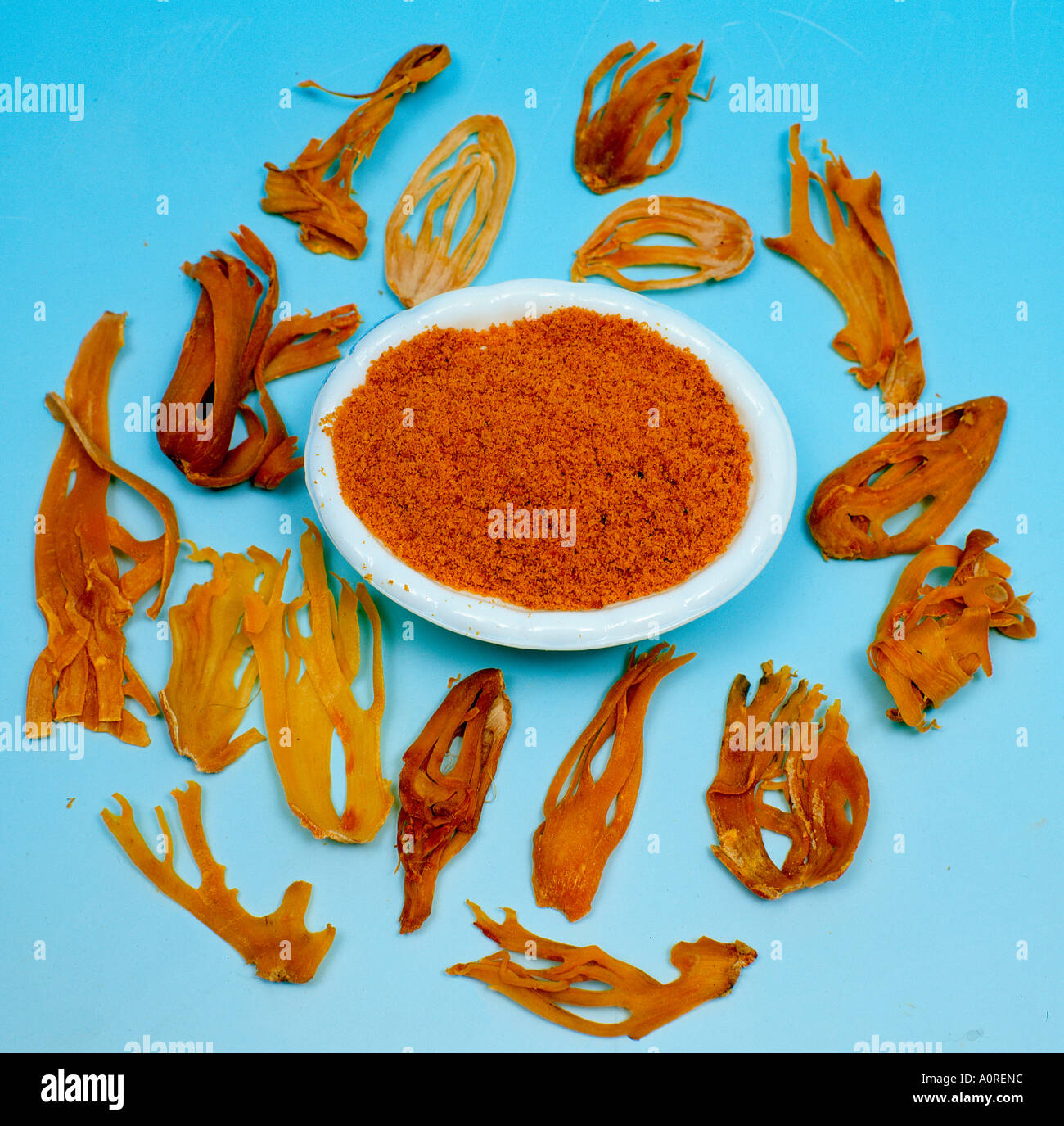 Nutmeg blossoms / Mace Stock Photo - Alamy