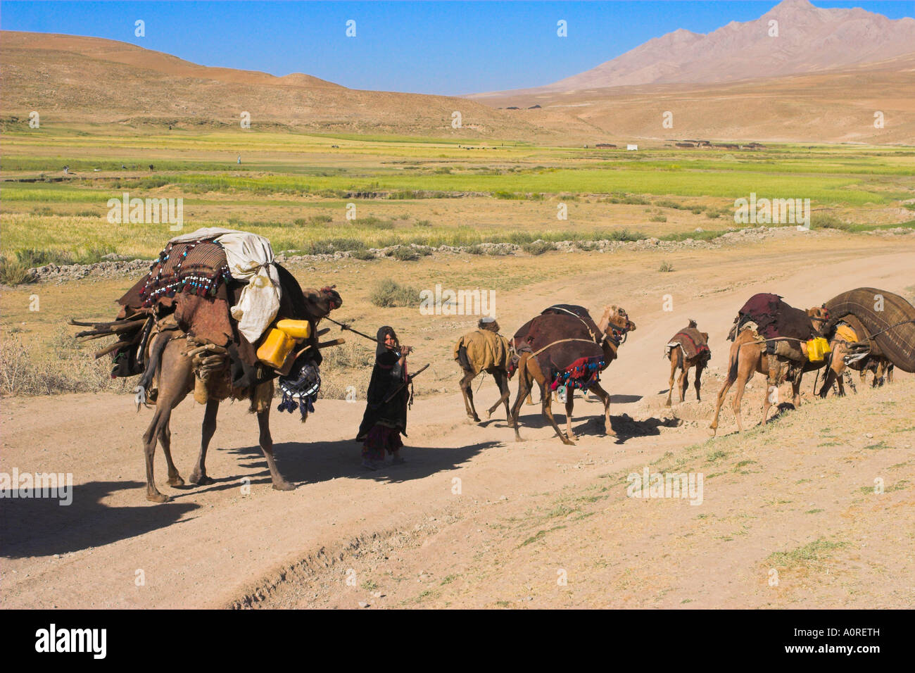 Kuchie nomad camel train between Chakhcharan and Jam Afghanistan Asia ...