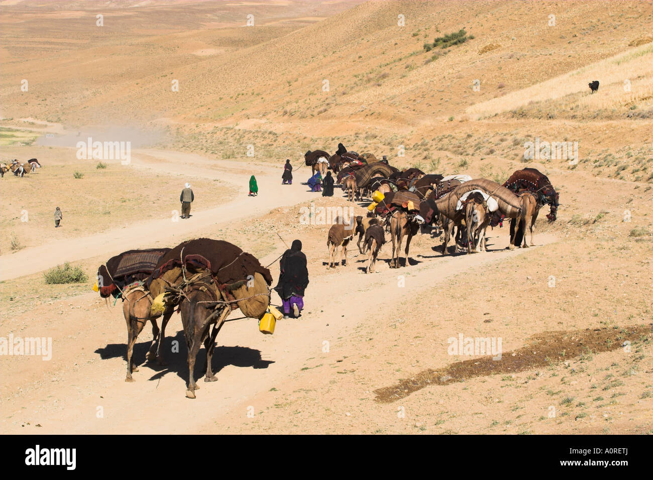 Kuchie nomad camel train between Chakhcharan and Jam Afghanistan Asia ...