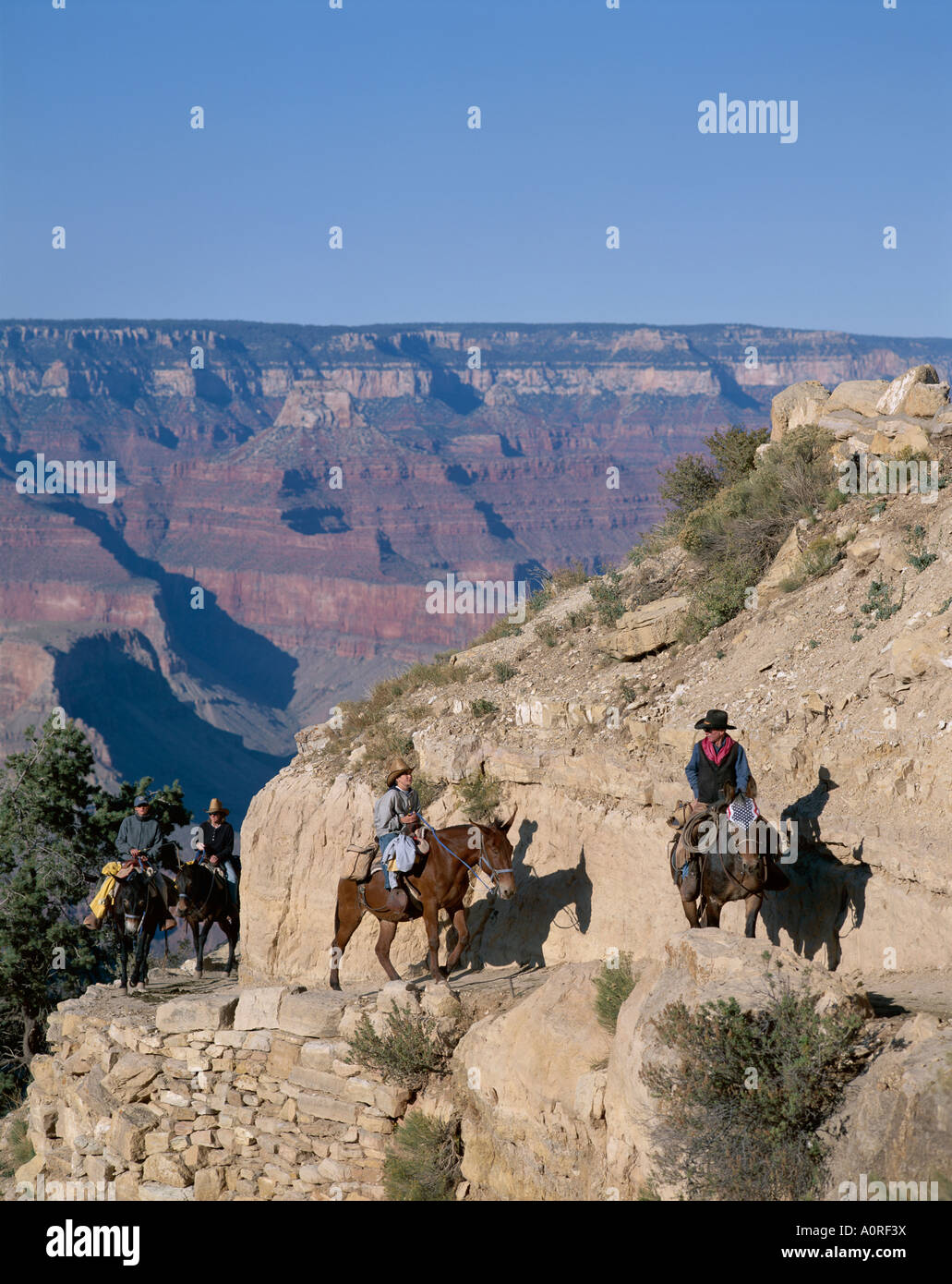Grand Canyon National Park Stock Photo - Alamy