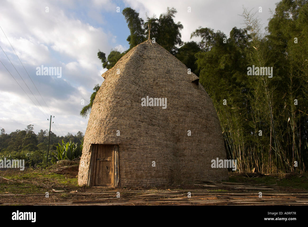 Traditional beehive house of the Dorze people made entirely from ...