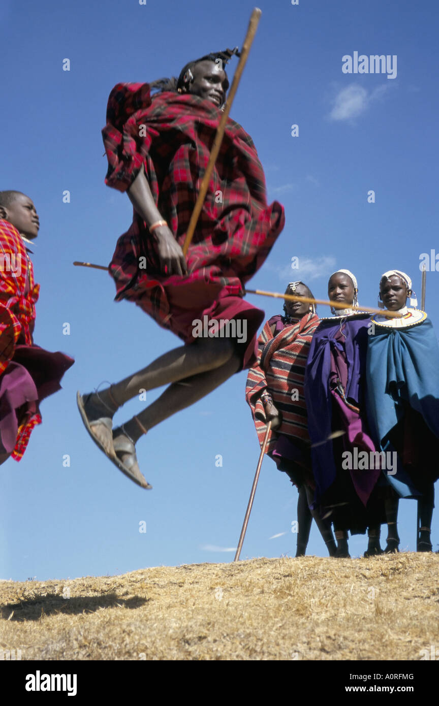 Masai warriors perform jumping dance Masai Mara National Park Kenya ...